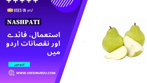 ناشپاتی کے صحت کے فوائد اور استعمالات اردو میں – Uses in Urdu
